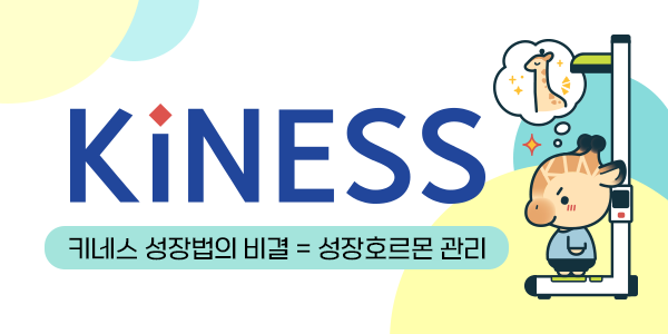 키네스 Kiness